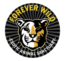 Forever Wild Exotic Animal Sanctuary - Forever Wild, Nonprofit