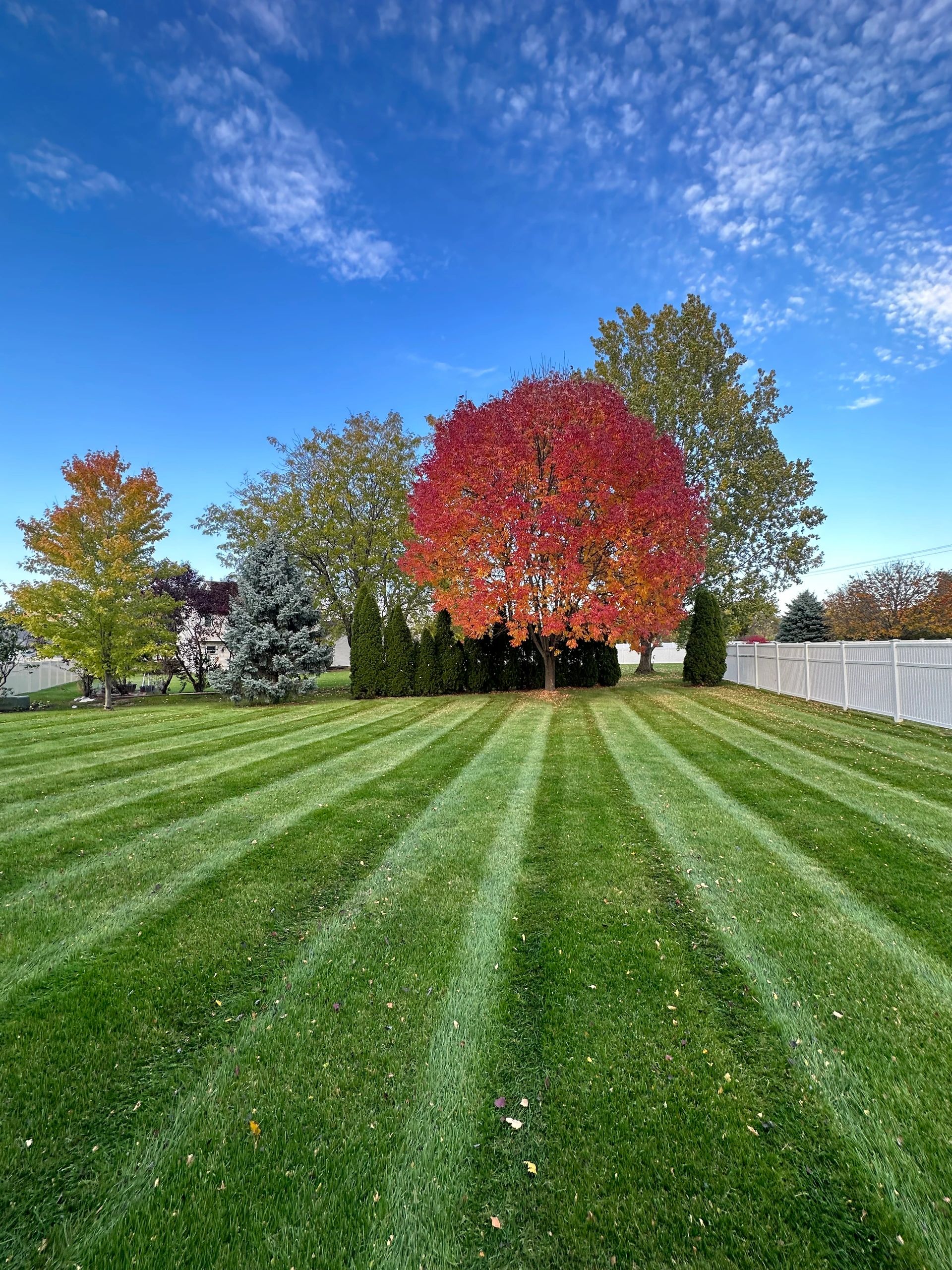 Valley Landscape Management
