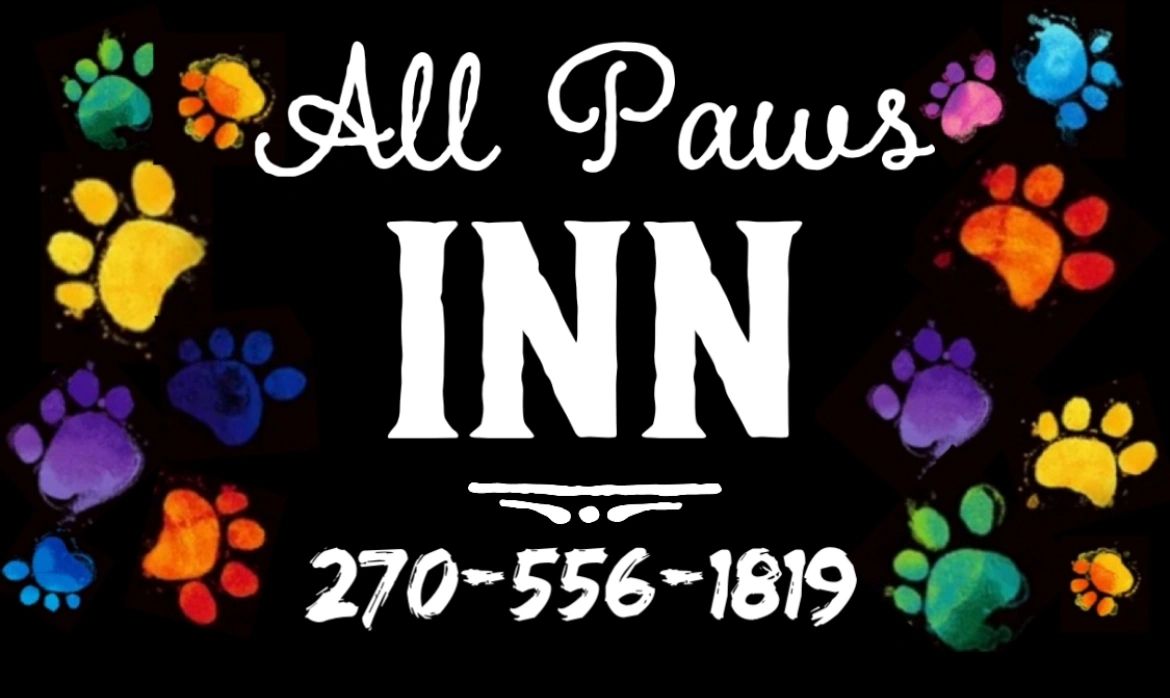 All Paws Inn
