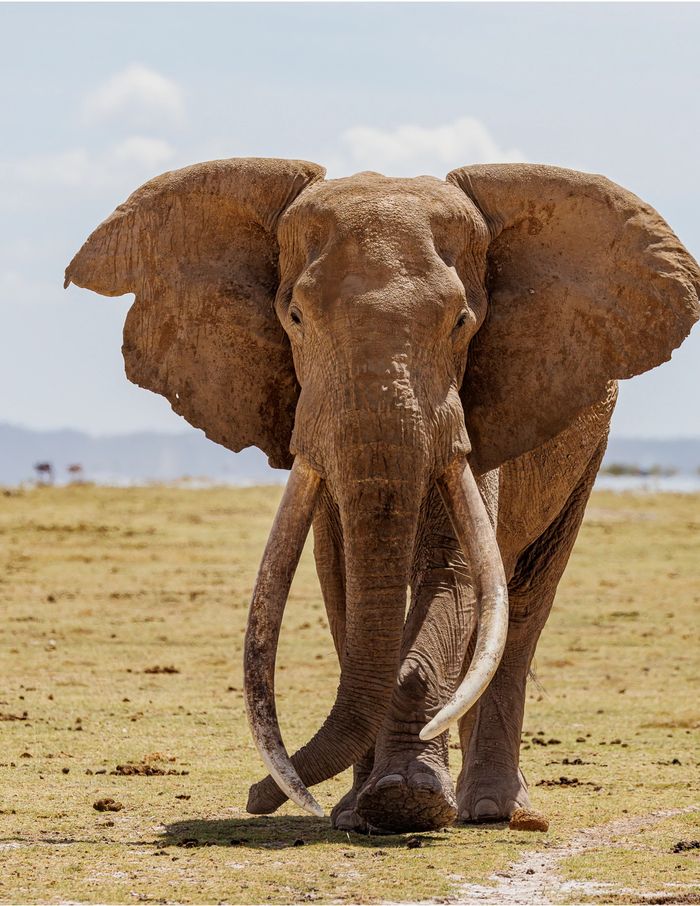 Candice Cain Photography