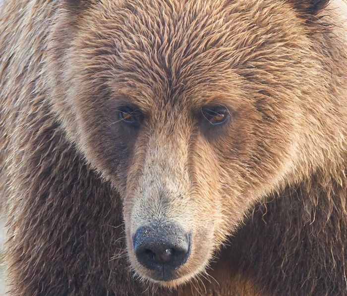 Candice Cain Photography