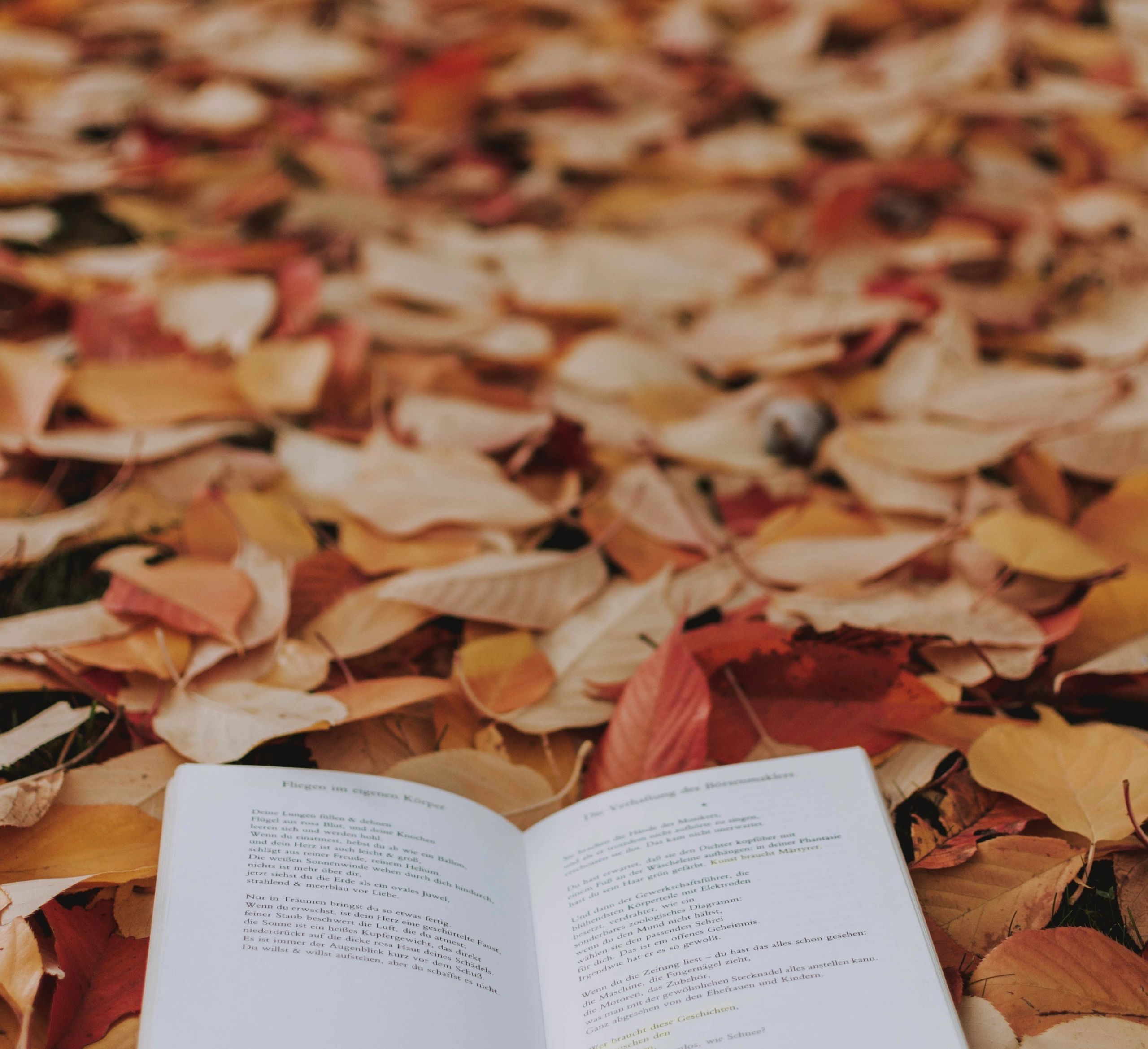 Publication and Distribution - The Winter Press