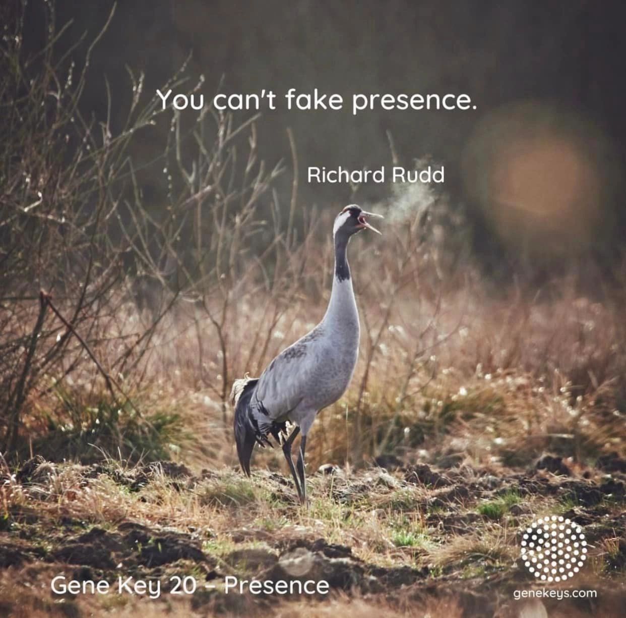 Gene Key 20: The Sacred Om, May 21 – May 26, 2023