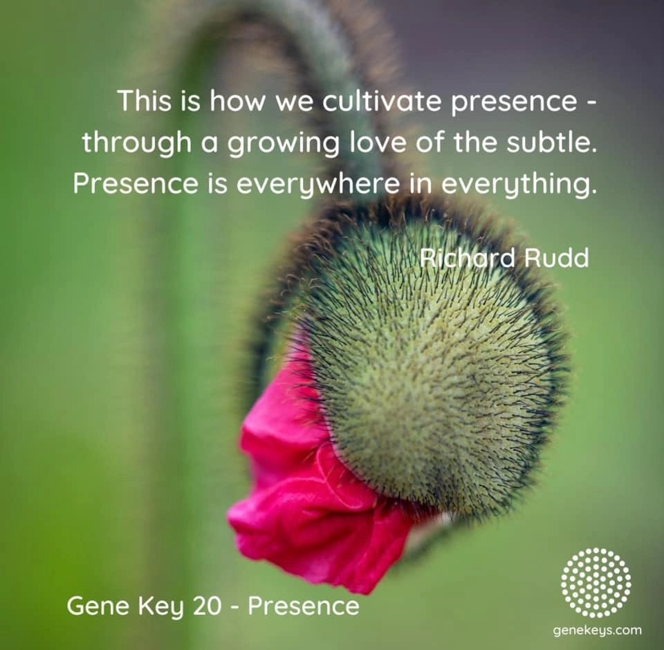 GENE KEY 20: THE SACRED OM, MAY 20 – MAY 26, 2024