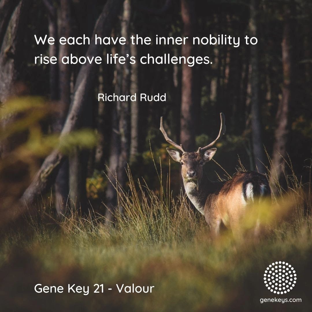 Gene Key 21: A Noble Life, Mar 30 – Apr 4, 2022