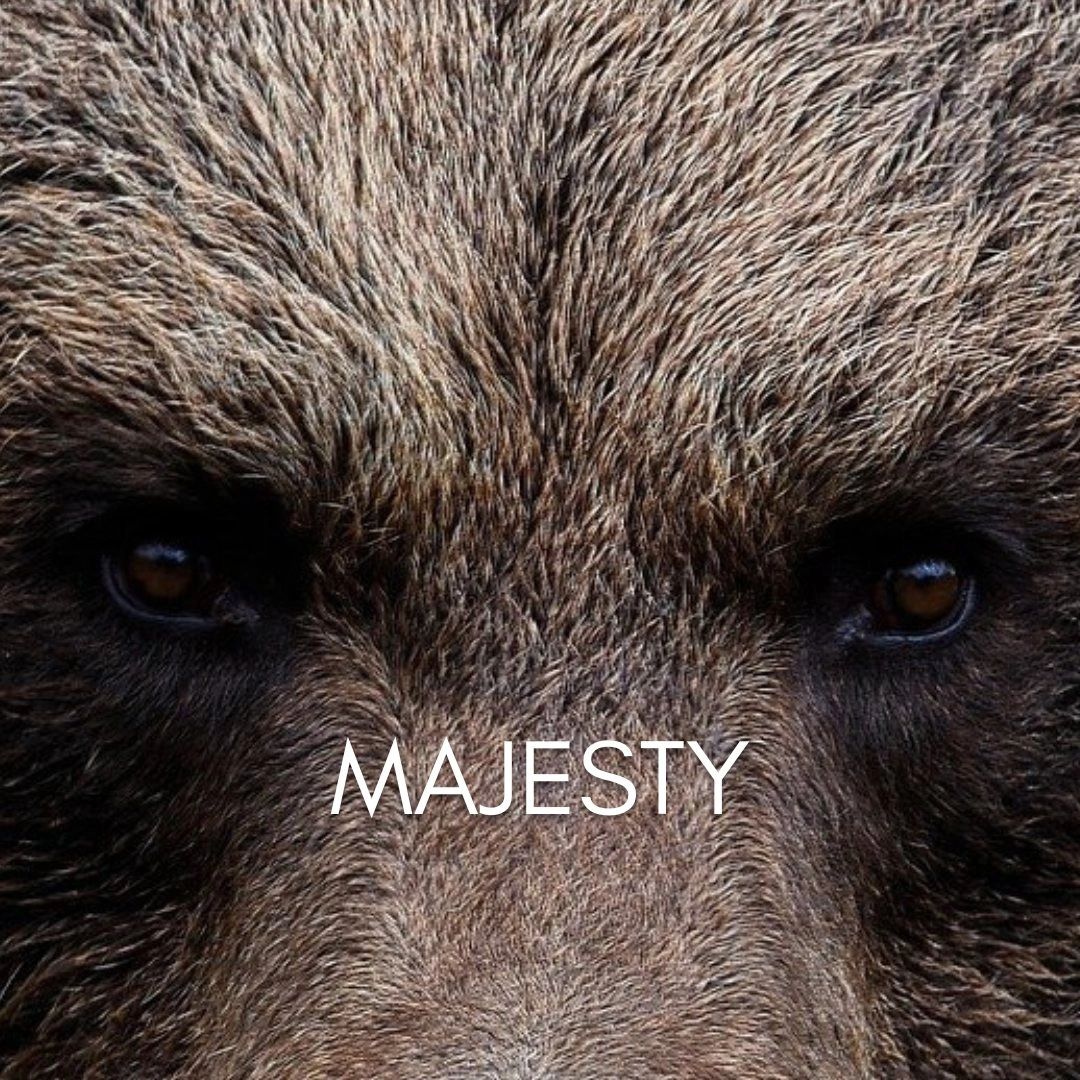 Gene Key 34: The Beauty of the Beast, Nov 22-28, 2023