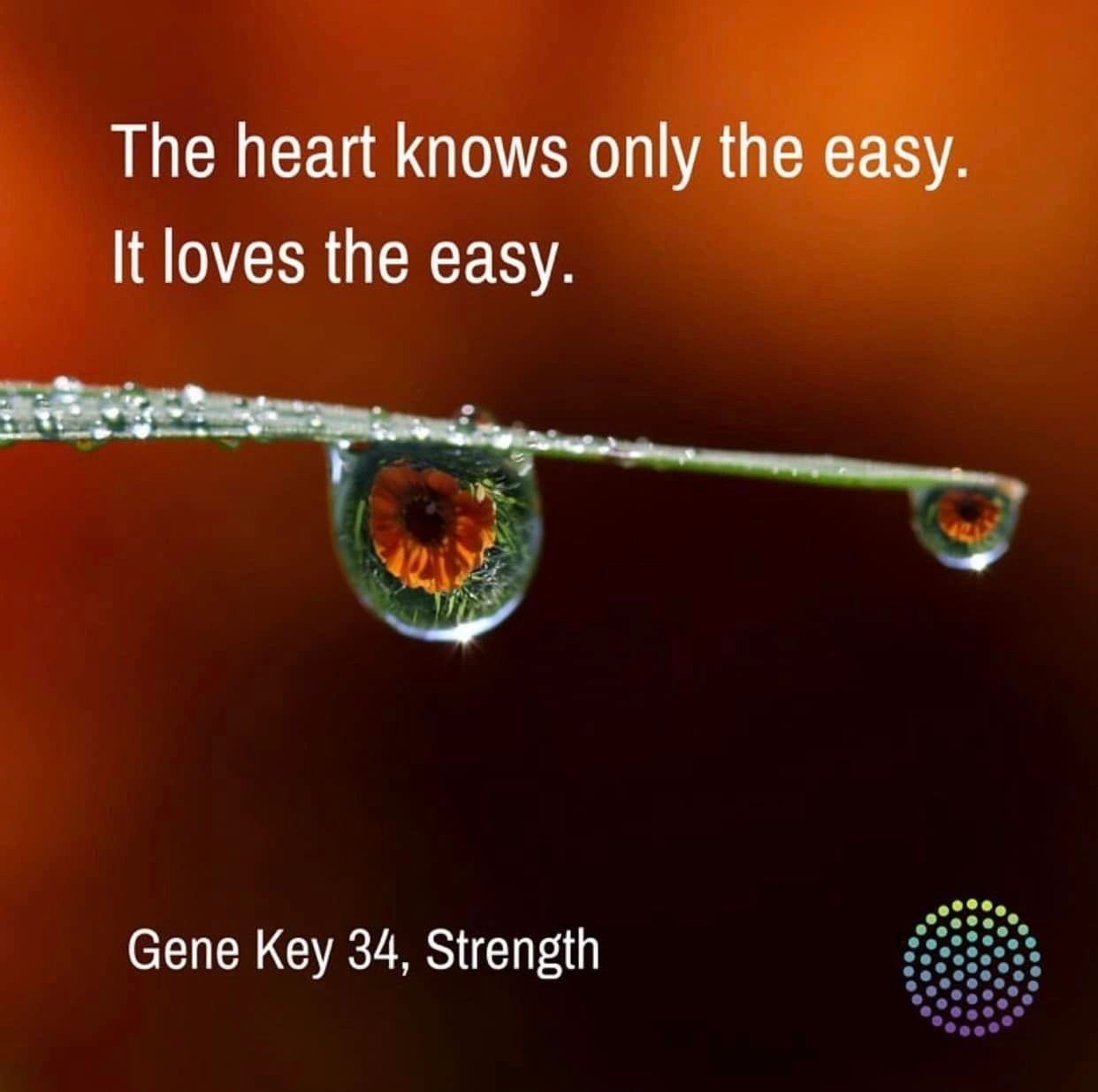 Gene Key 34: The Beauty of the Beast, Nov 21-27, 2024