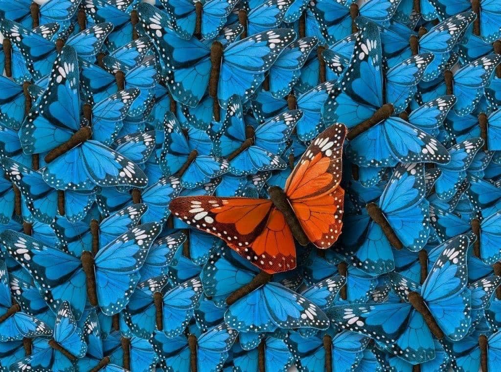 GENE KEY 37: FAMILY ALCHEMY, FEB 25 – MAR 1, 2023