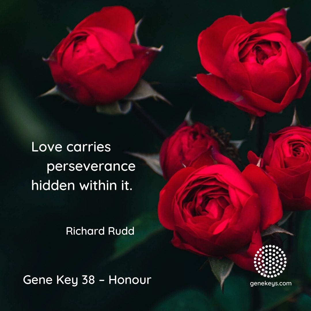 GENE KEY 38: THE WARRIOR OF LIGHT, DEC 31, 2022 – JAN 4, 2023