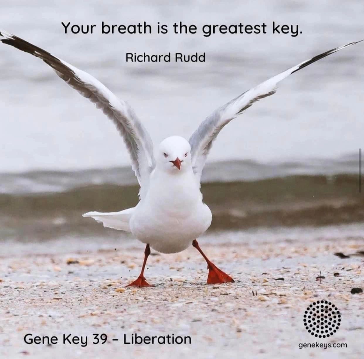 GENE KEY 39: THE TENSION OF TRANSCENDENCE, JUNE 30 - JULY 6, 2024