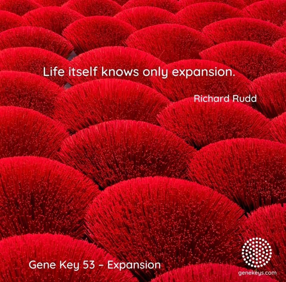 Gene Key 53: Evolving Beyond Evolution, July 7 – 12, 2023