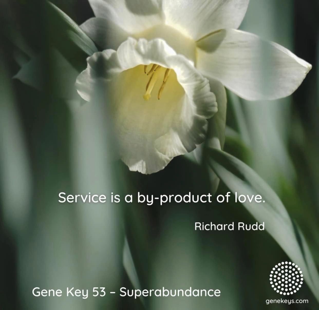 GENE KEY 53: EVOLVING BEYOND EVOLUTION, JULY 6 – 12, 2024