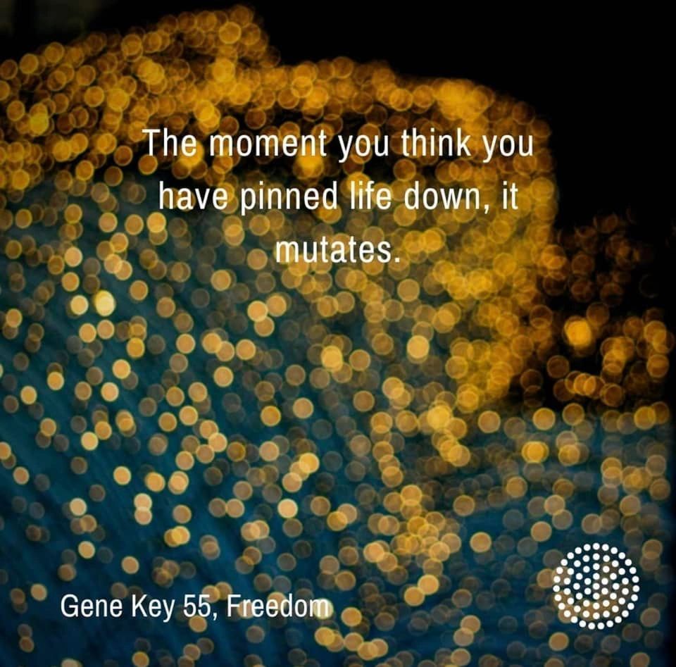 Gene Key 55: The Dragonflies Dream, Feb 19 - 24, 2024