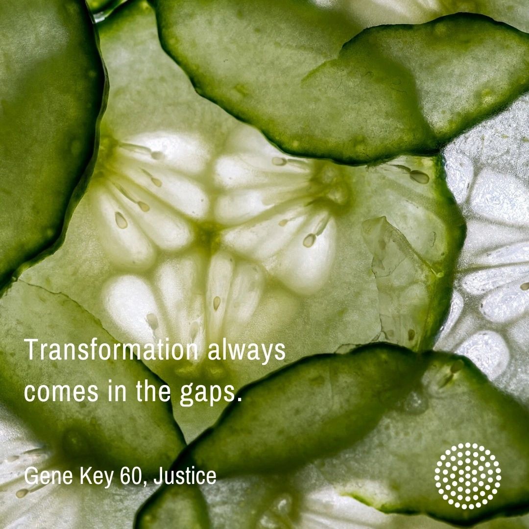 Gene Key 60: The Cracking of the Vessel, Jan 17 – 22, 2024