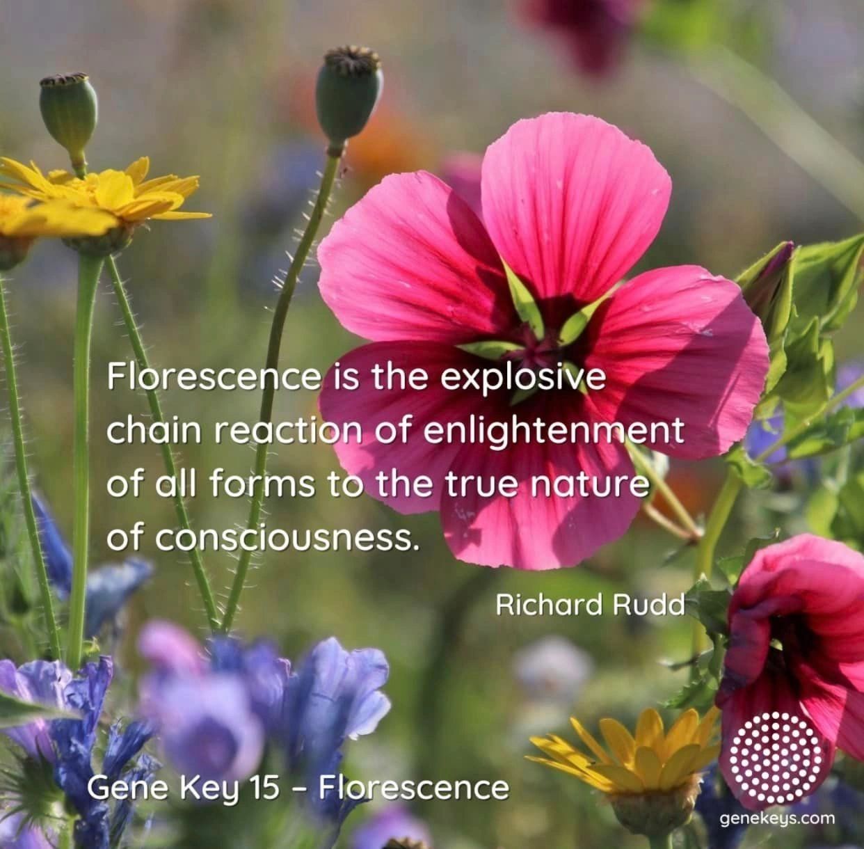 GENE KEY 15: AN ETERNALLY FLOWERING SPRING, JUNE 19 - 25, 2025