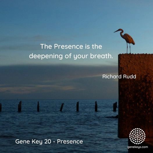 GENE KEY 20: THE SACRED OM, MAY 20 – MAY 26, 2025