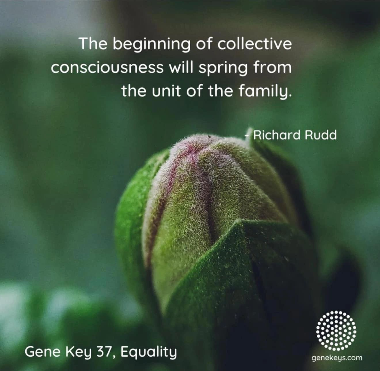 Gene Key 37: Family Alchemy, Feb 26 - Mar 2, 2025