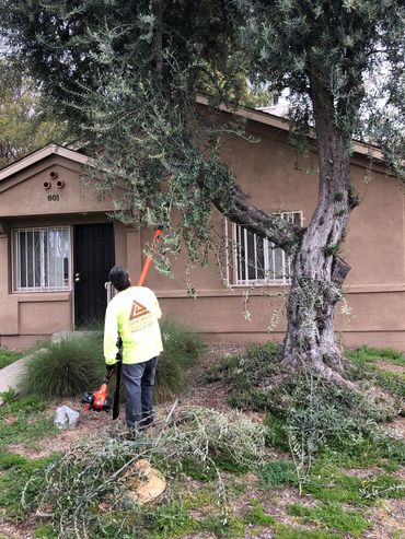 Landscape West Management Service, Inc