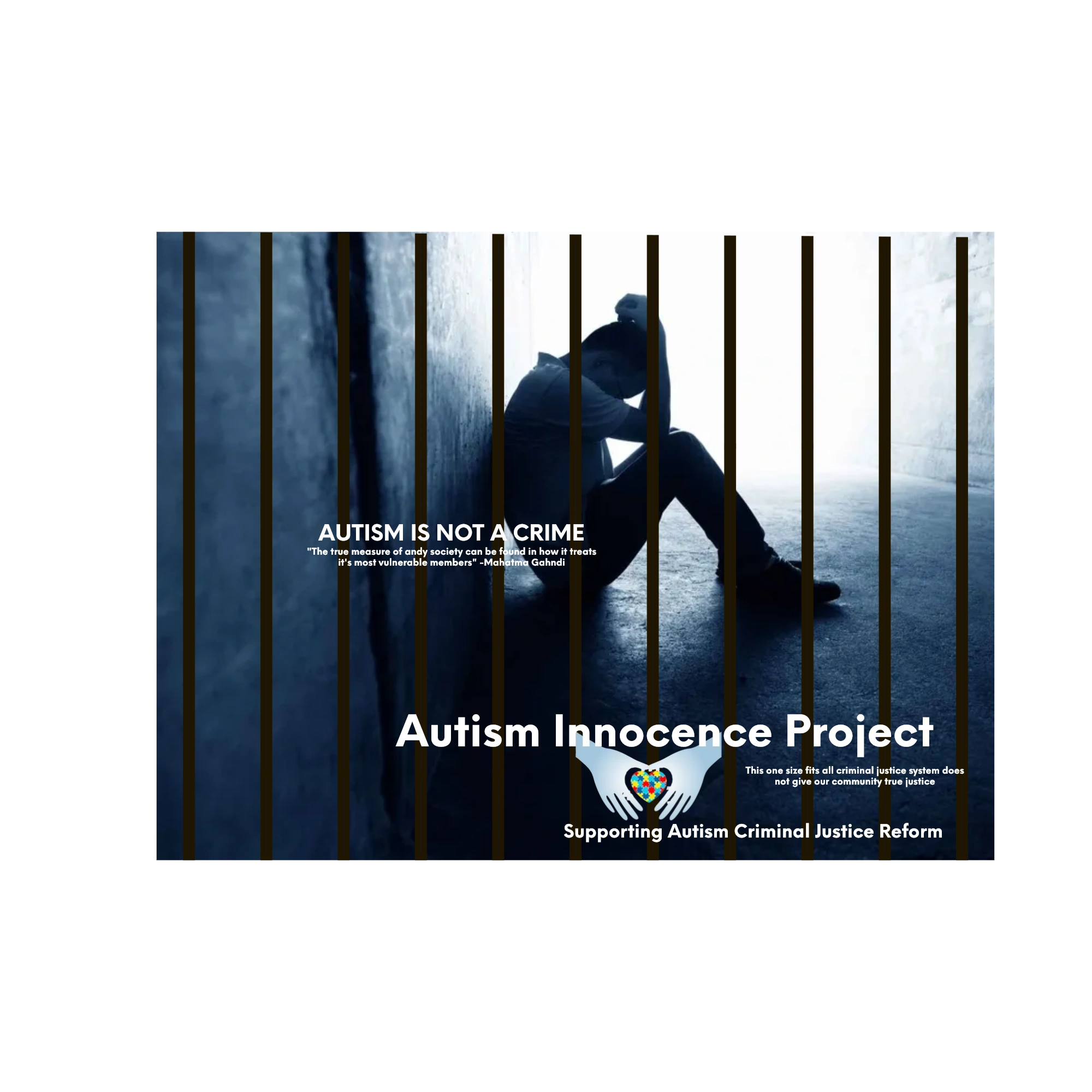 Home [autisminnocenceproject.org]