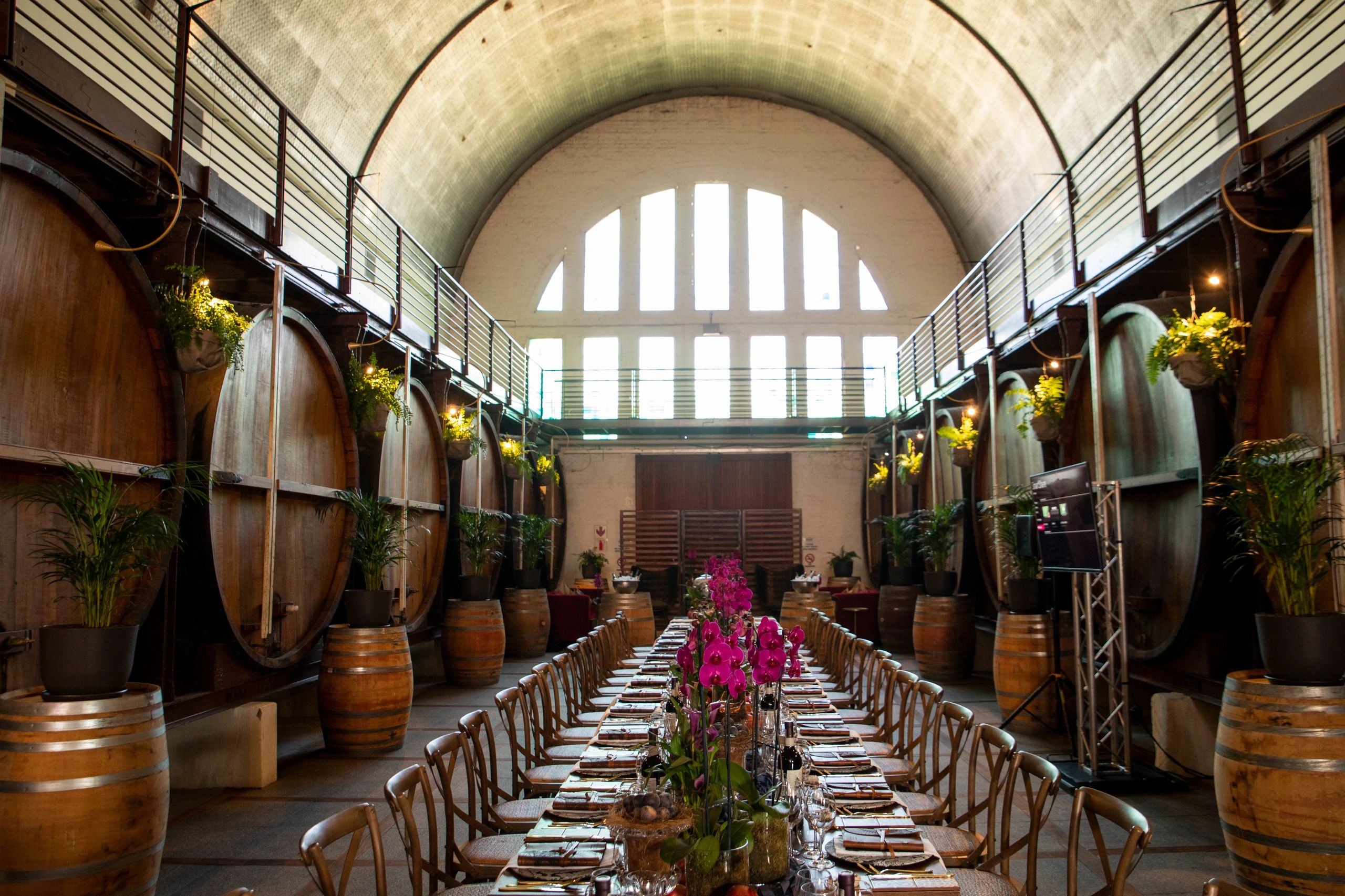 Cathedral Cellar reopens its doors – two years after lockdown