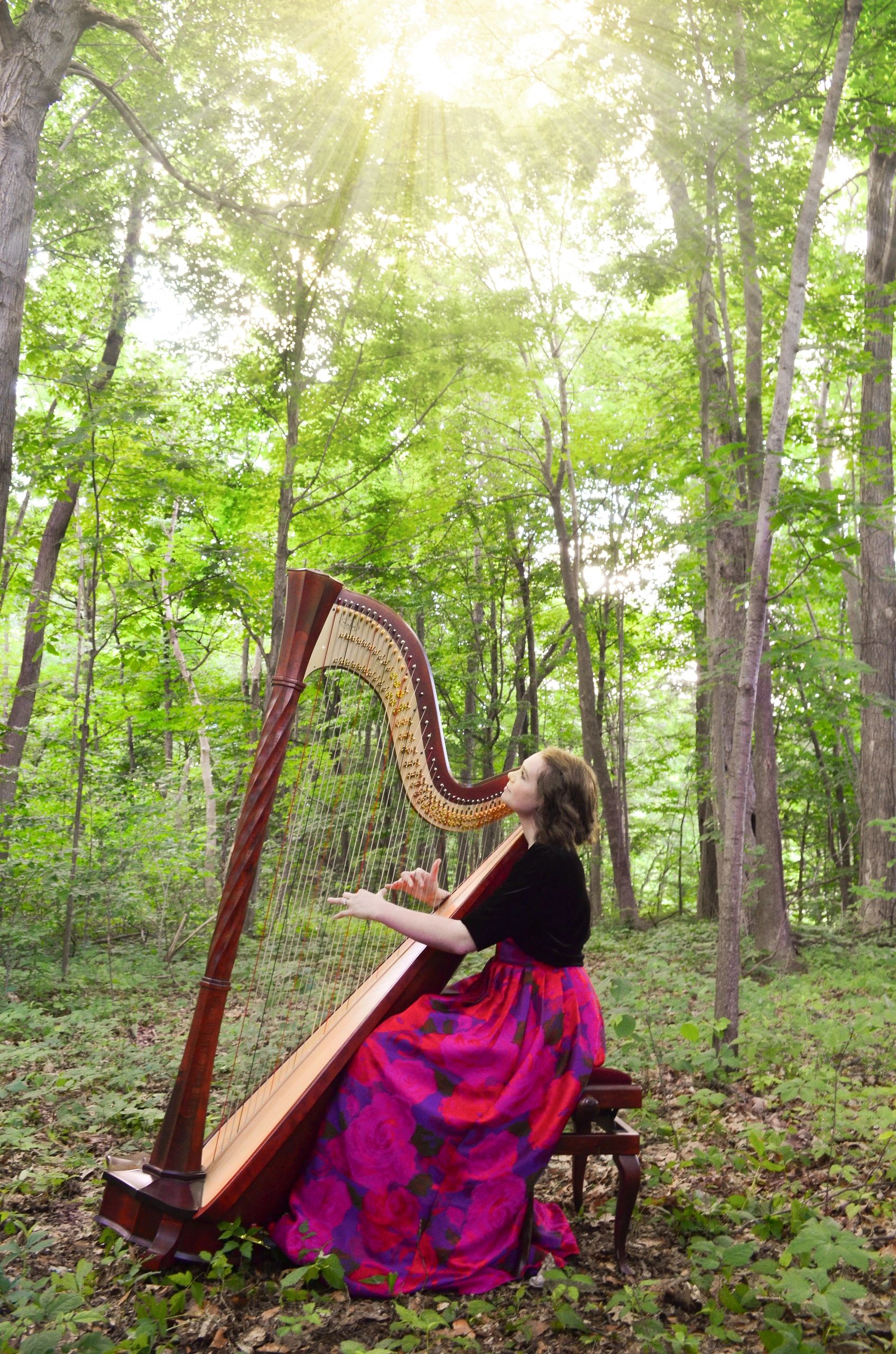 Harp, Piano - Wilder Harp Music - Utica, New York