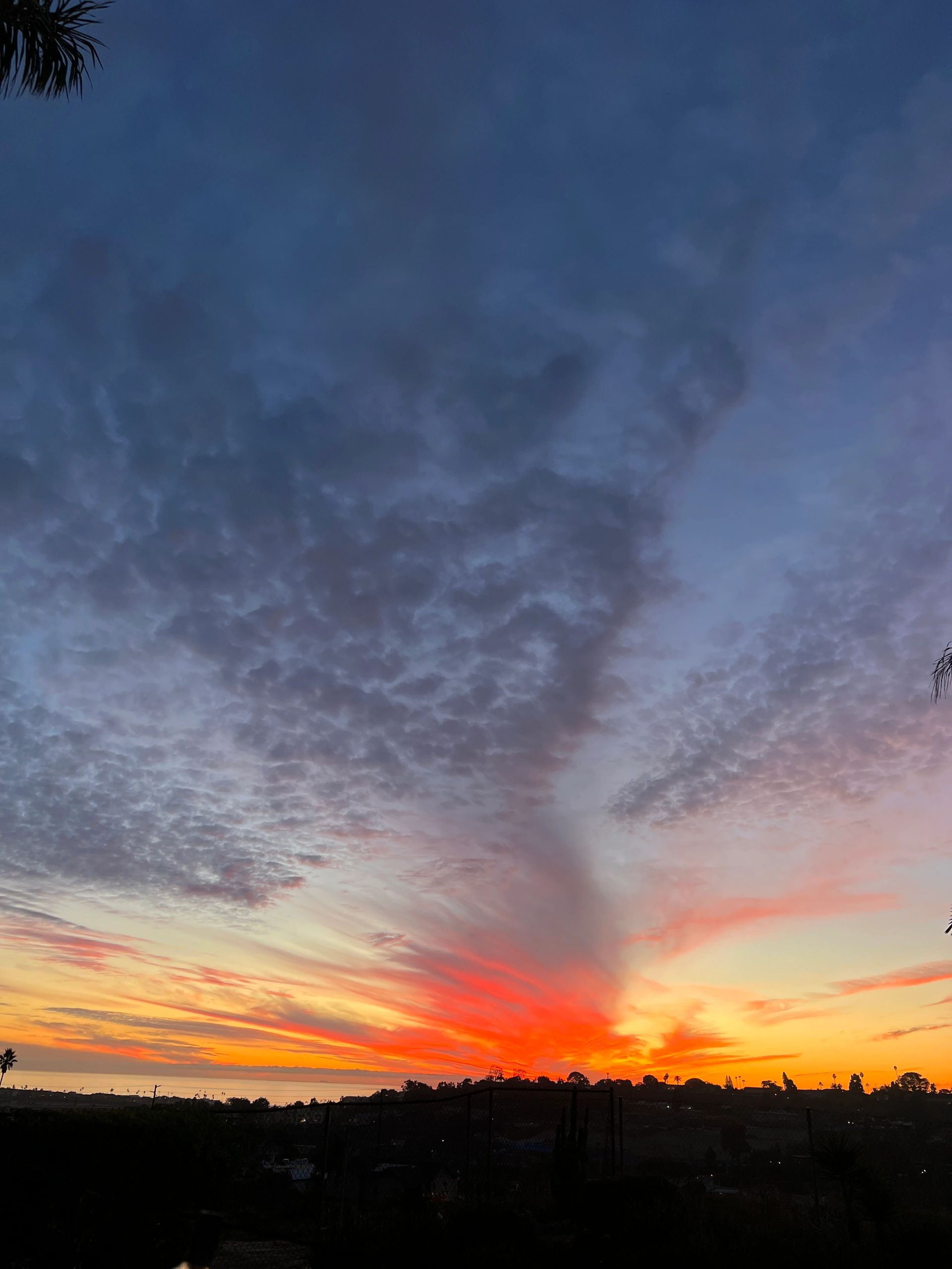 Dr. Halbeisen - Anna Halbeisen, D.O.