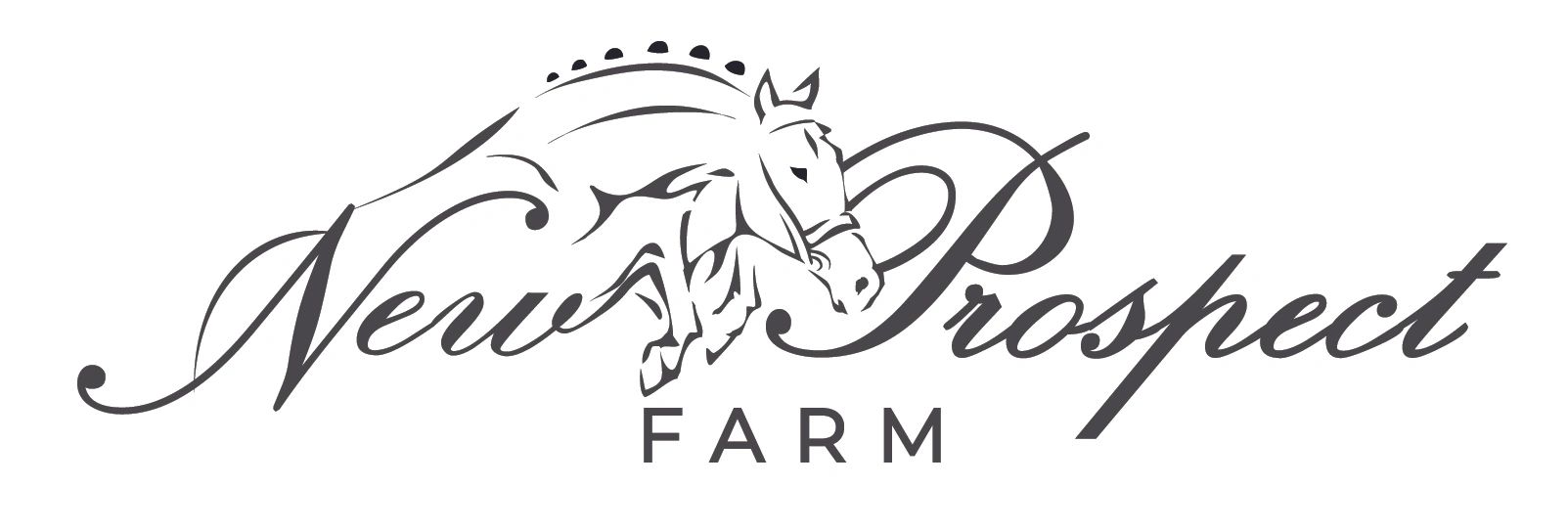 Newprospectfarm - Horseback Riding, Riding Lessons