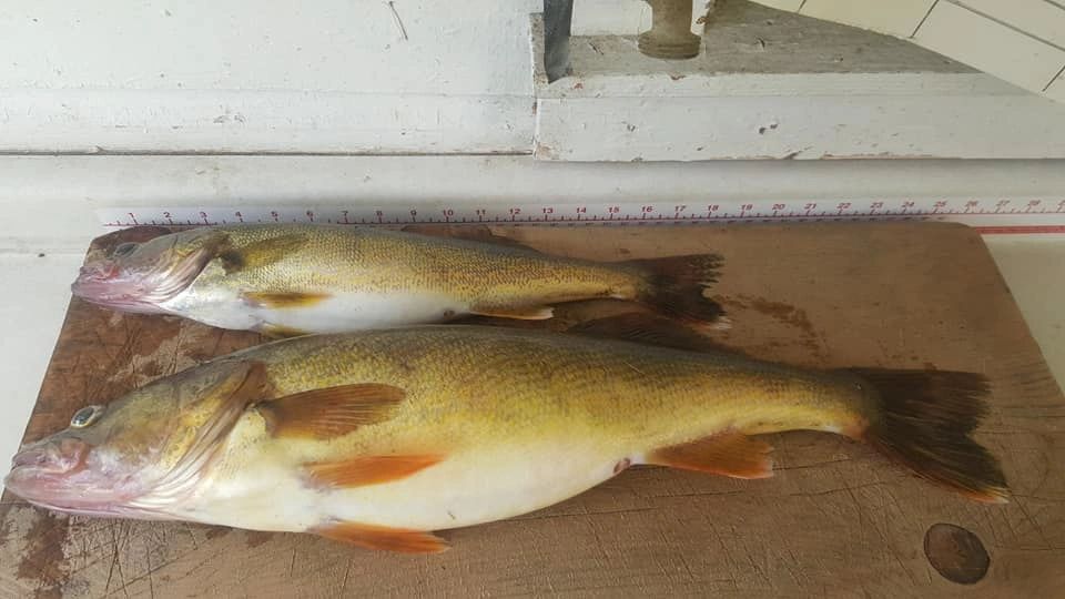 Ball Club Lake Mid-Summer Fishing Report: