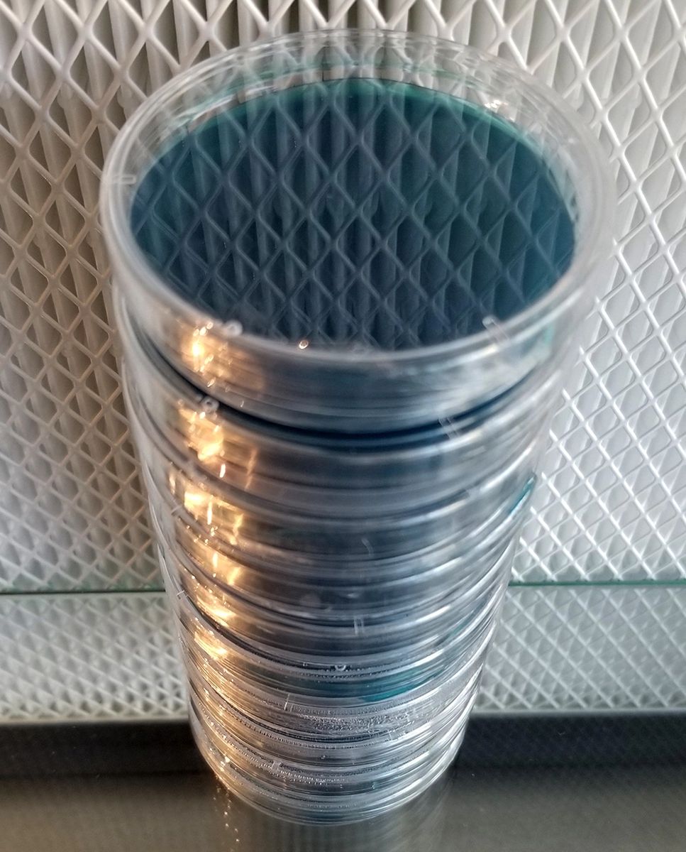 (10 pack) Malt Extract, Yeast Agar 60mm Plates (1.5% rich nutrient ...