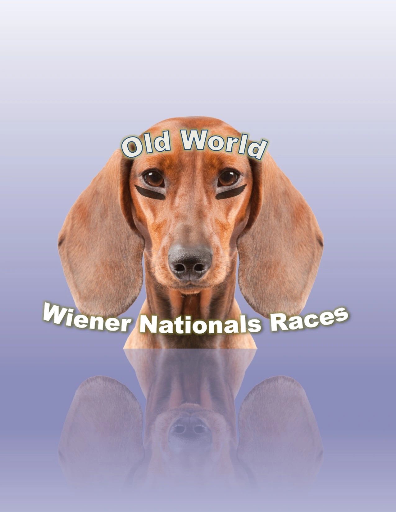 Exciting Wiener Dog Race Event