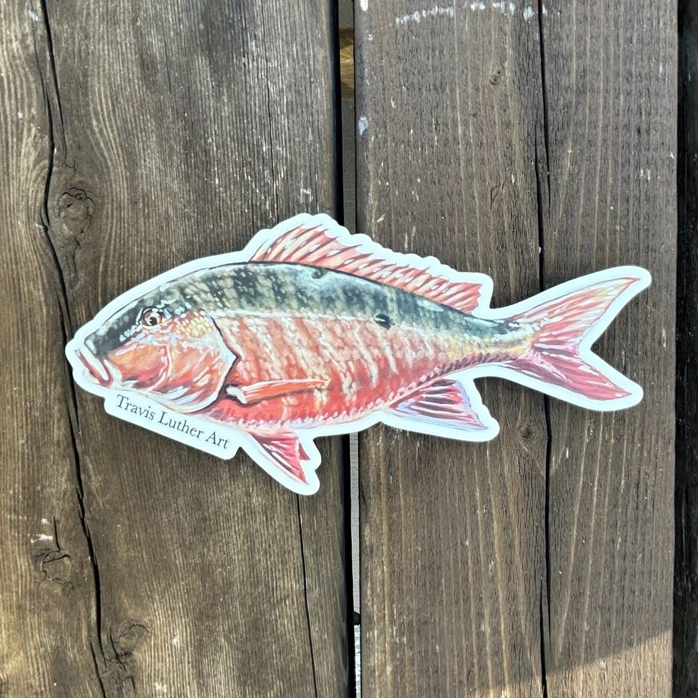 Mutton Snapper Sticker