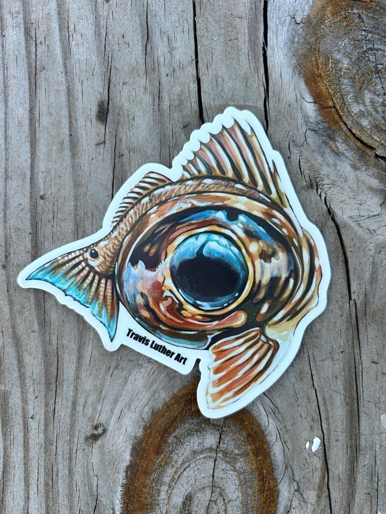 Redfish Eye Sticker