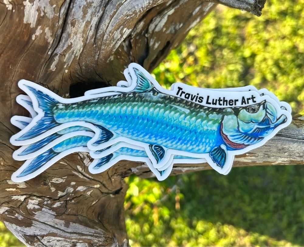 Tarpon Sticker