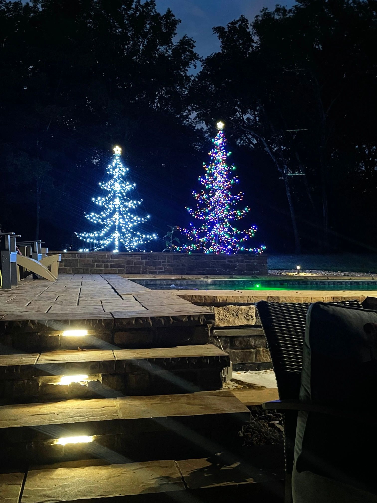 Bright Light Christmas Trees