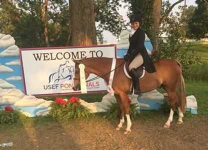 Rising Star Ranch - Warmblood Horses, Jumpers, Hunter Horses