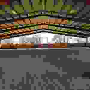 Rising Star Ranch - Warmblood Horses, Jumpers, Hunter Horses