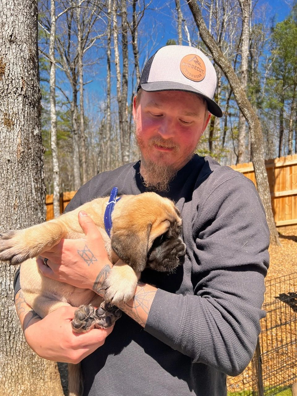 Companion Dog Training Classes