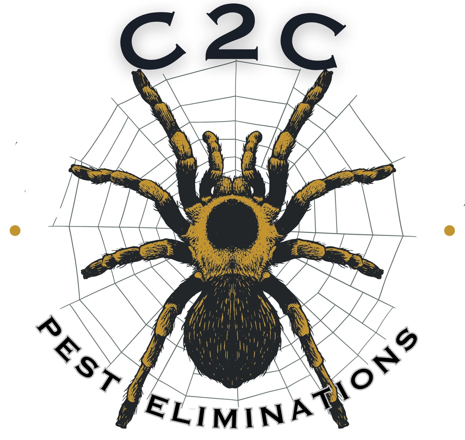 Expert Pest Control Services