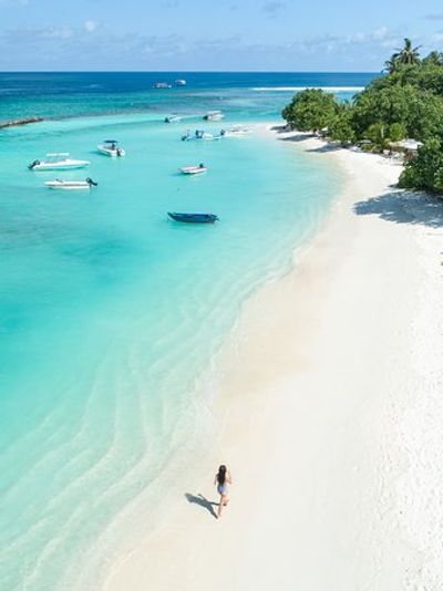 Sea Star Diving Center - Scuba, Diving, Scuba Diving, Dive Shop