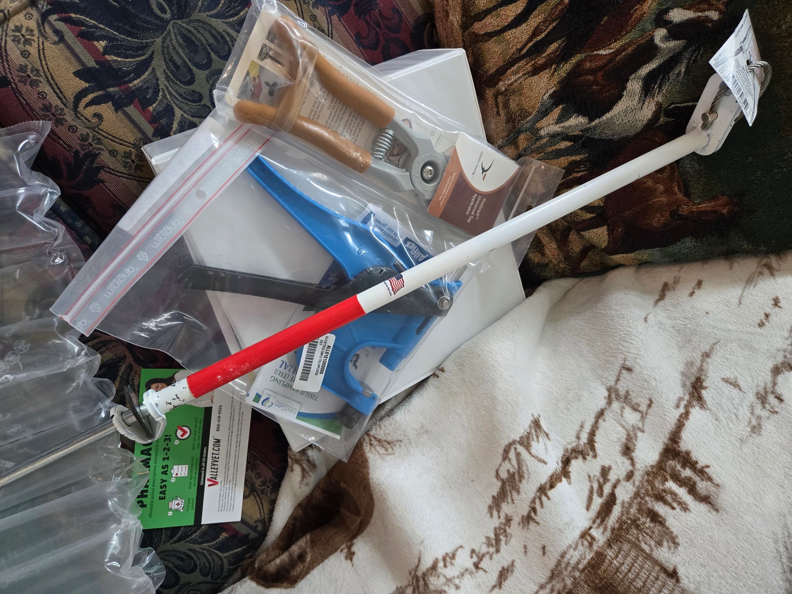 DNA Project to Program