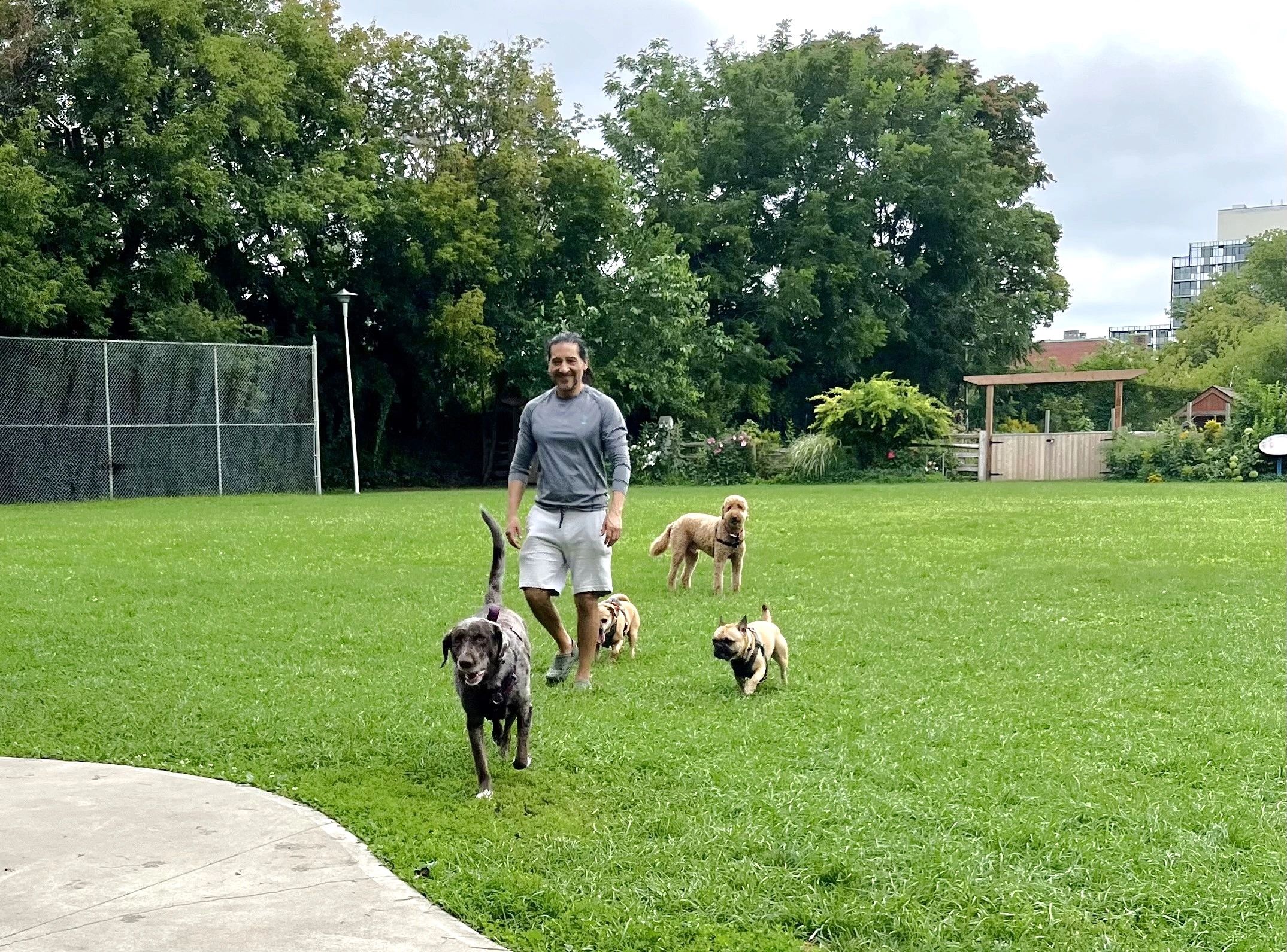 Toronto Junction Dog Boarding