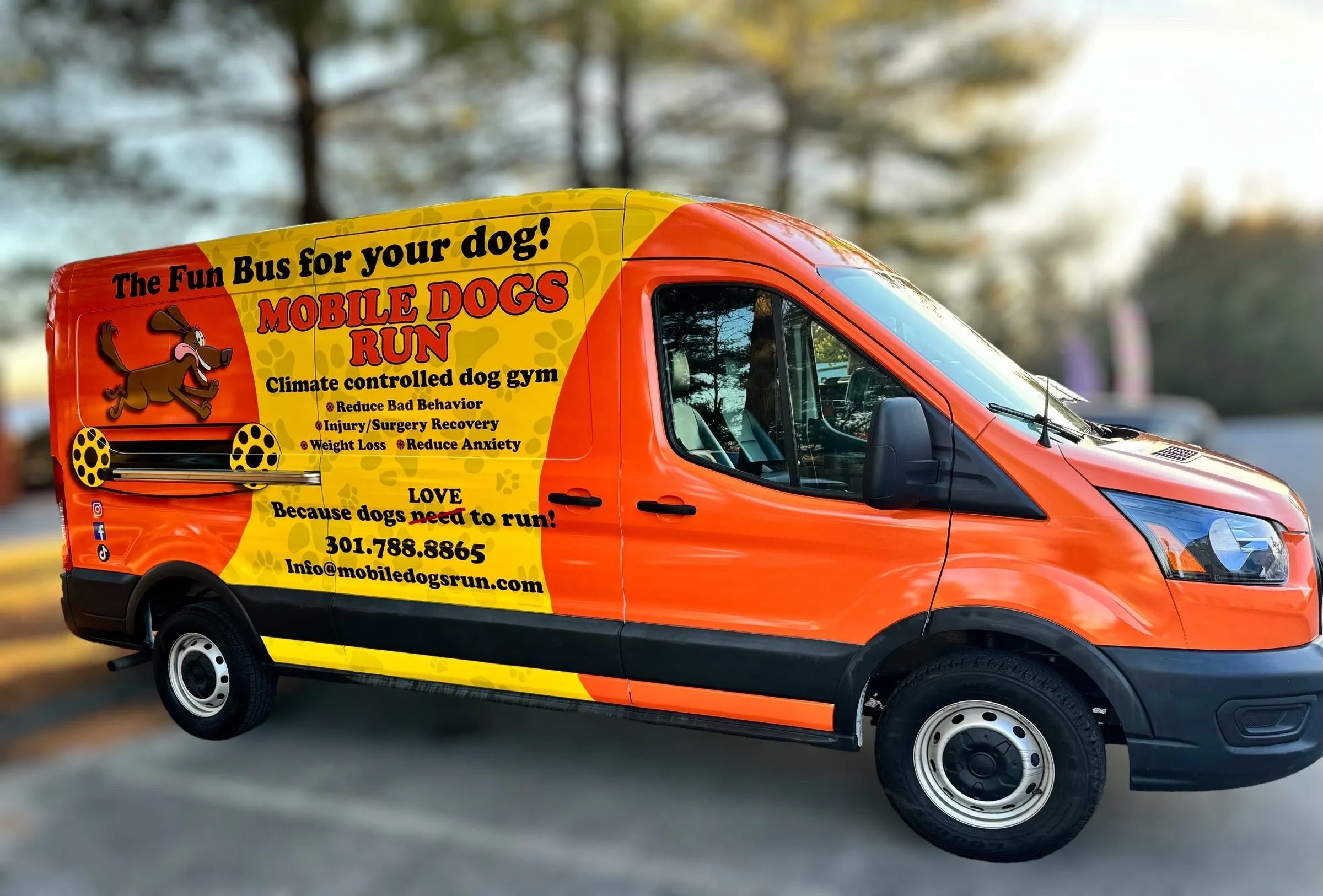 Mobile Dogs Run: At Home Dog Exercise Service