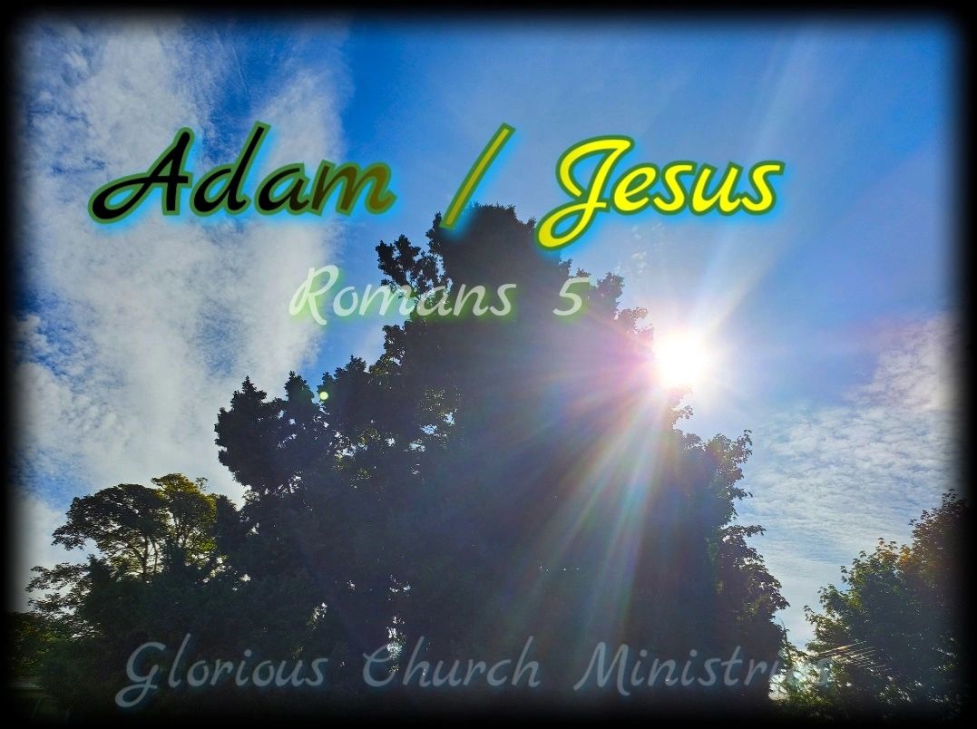 ADAM / 曆 JESUS