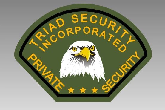 TRIAD SECURITY, INC
