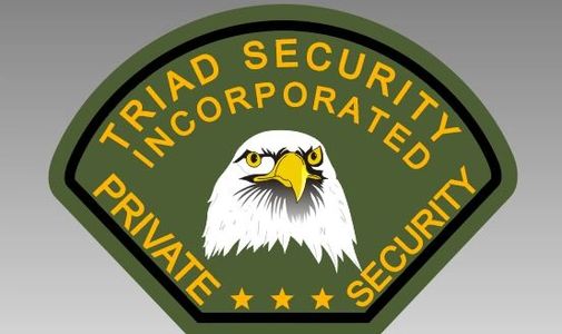 TRIAD SECURITY, INC