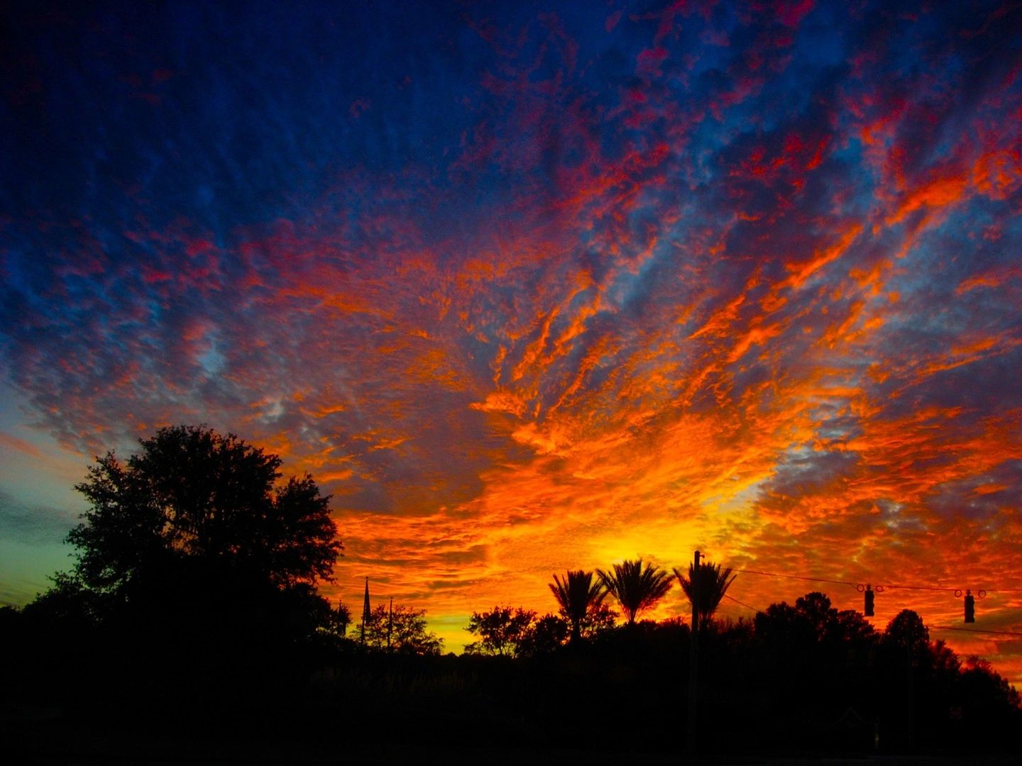 Dara DeCando - Phone Counseling, Counselor, Life Coach