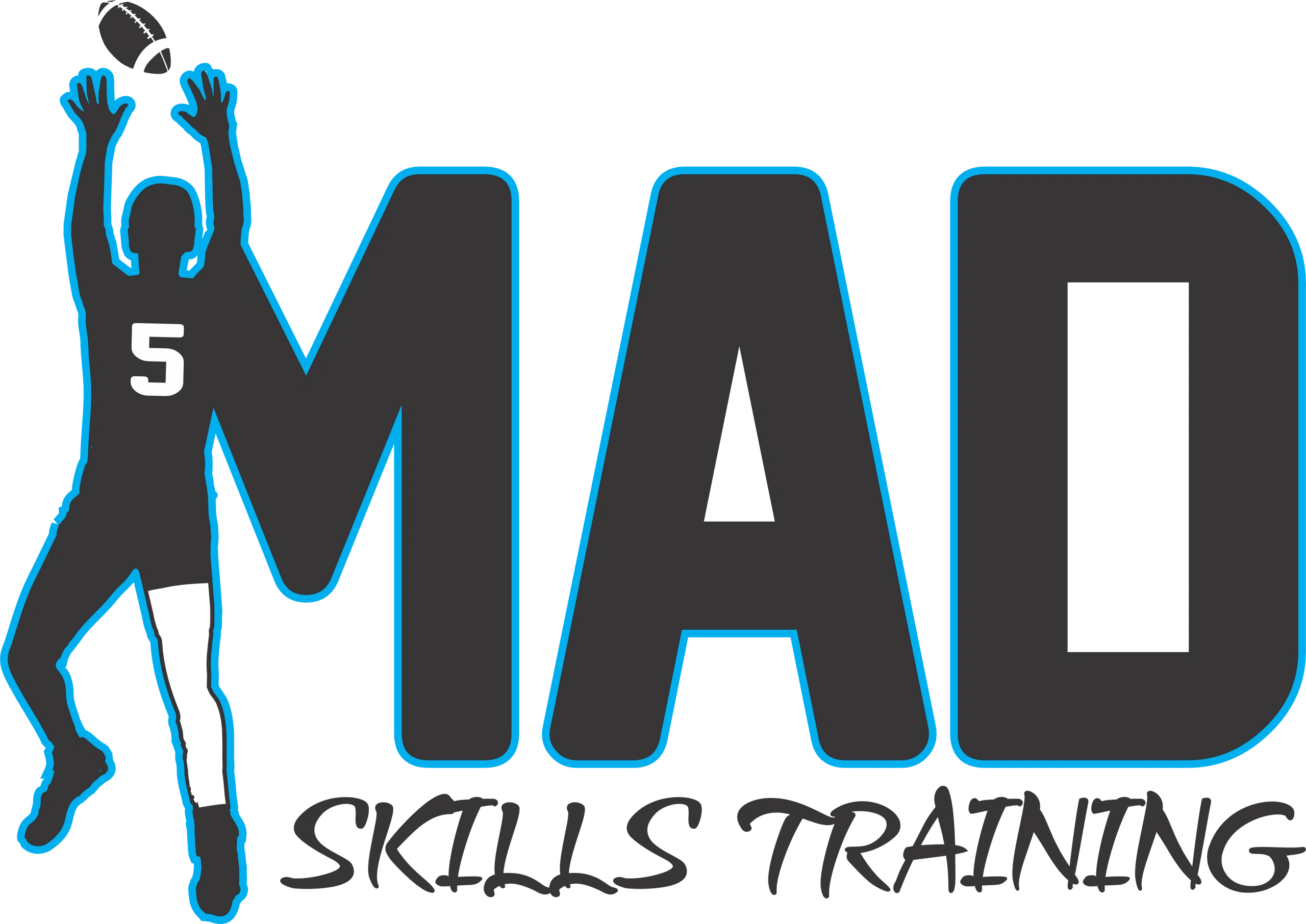 MAD SKILLS TRAINING mad-skills-training