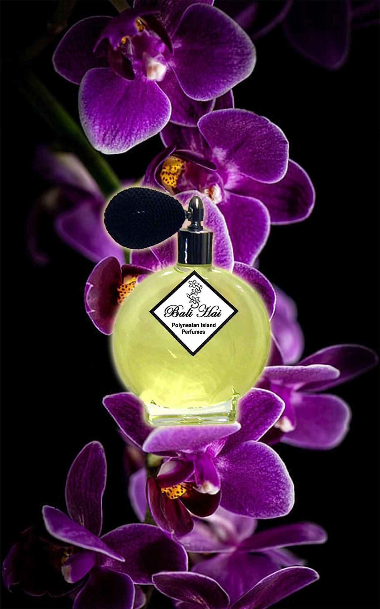 Fragrance Journey: rare and exotic perfumes