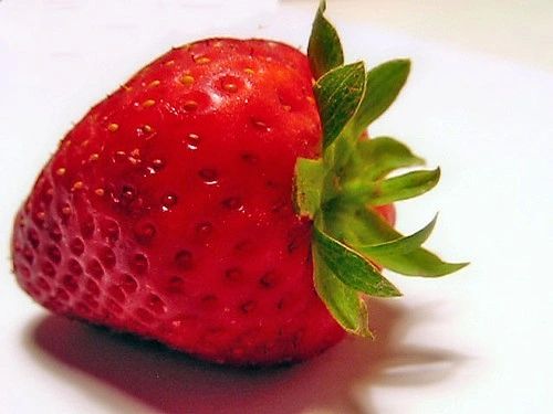 Fragrance Oils: R - S