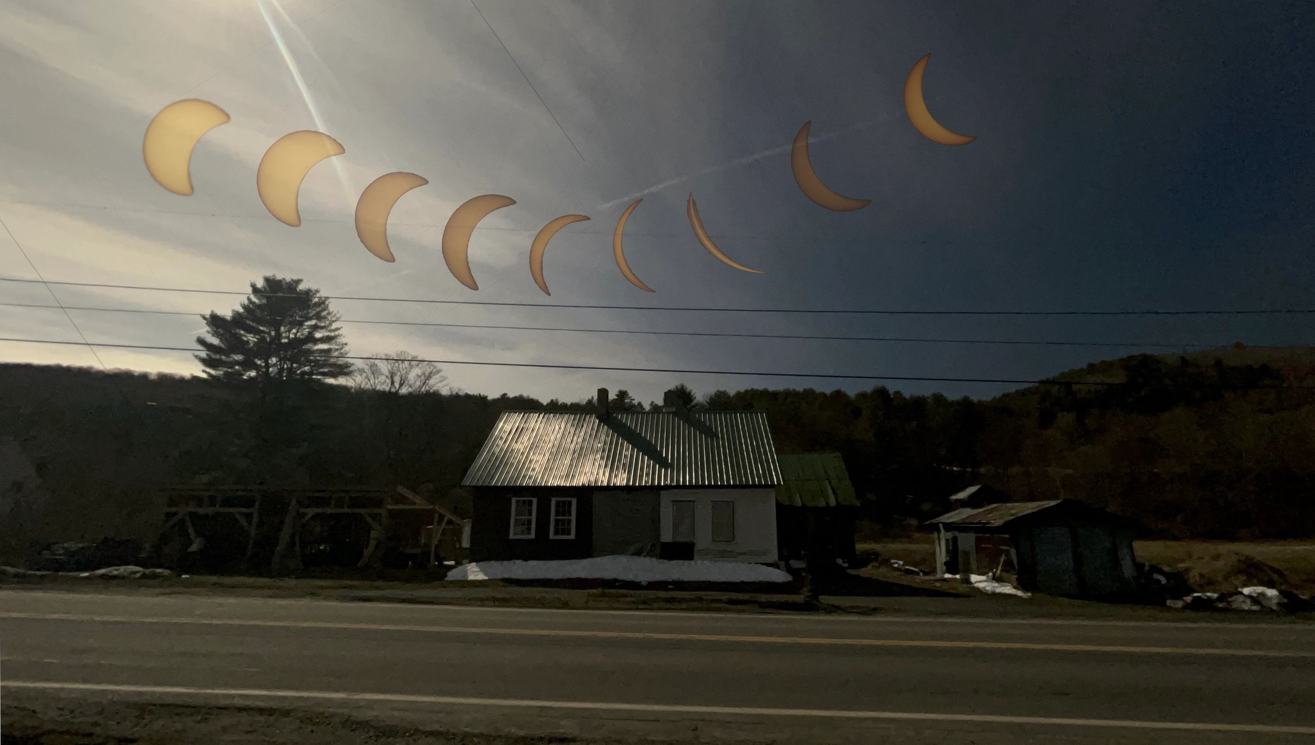 The Avian World | The Walking Bird Nerd (All Wildlife, really)